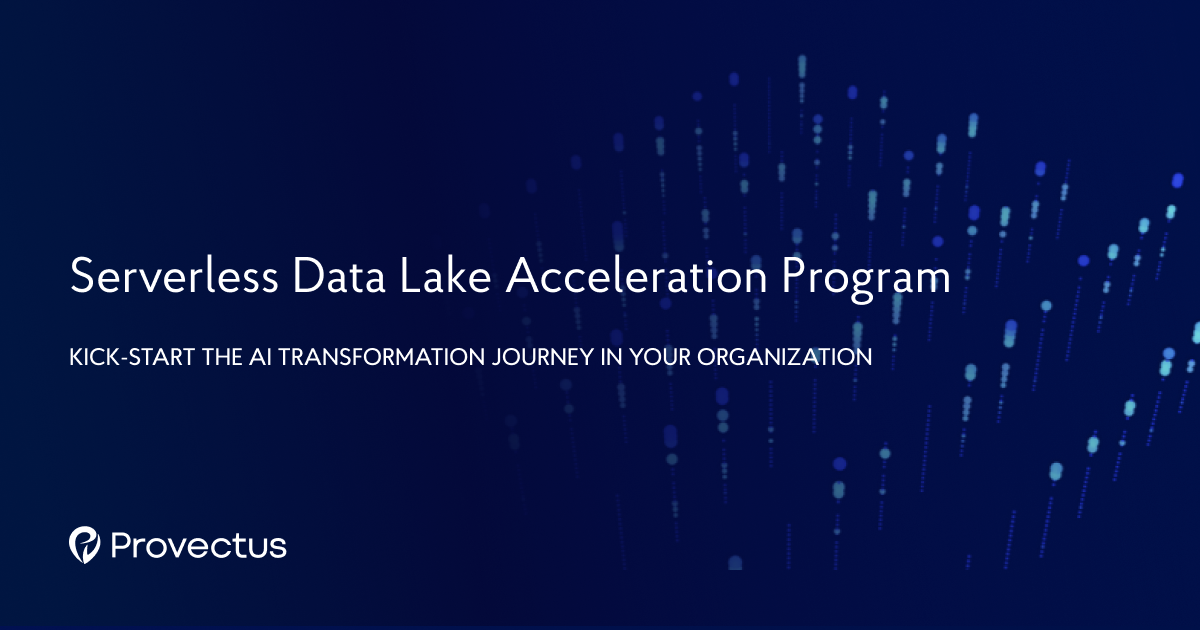 Data Lake Acceleration Program by Provectus